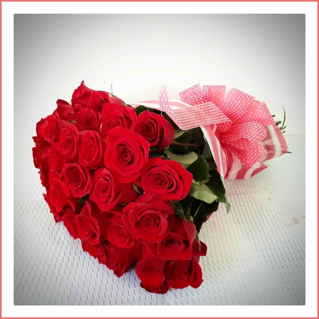 Bouquet de 24 rosas importadas - Florería Chile